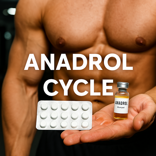 Anadrol Cycle