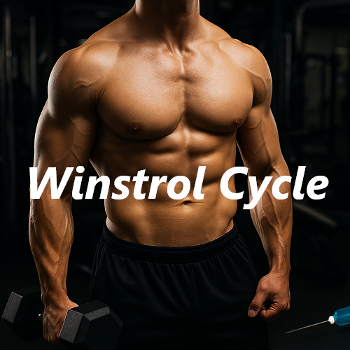 Winstrol Cycle